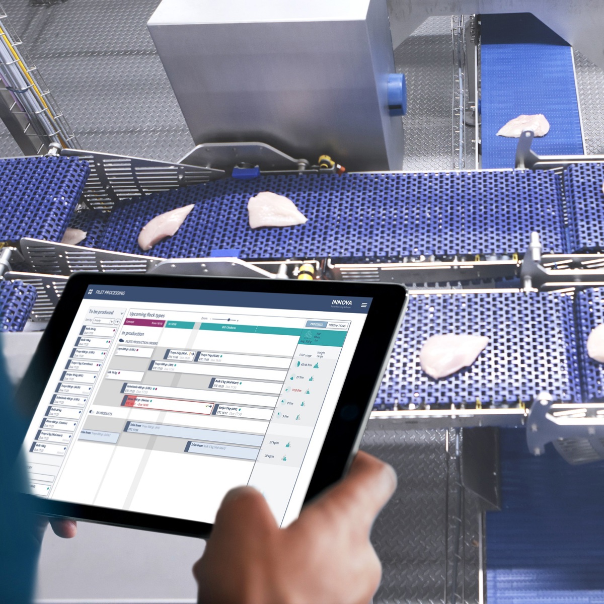 Software para distribuição em esteira transportadora | Marel