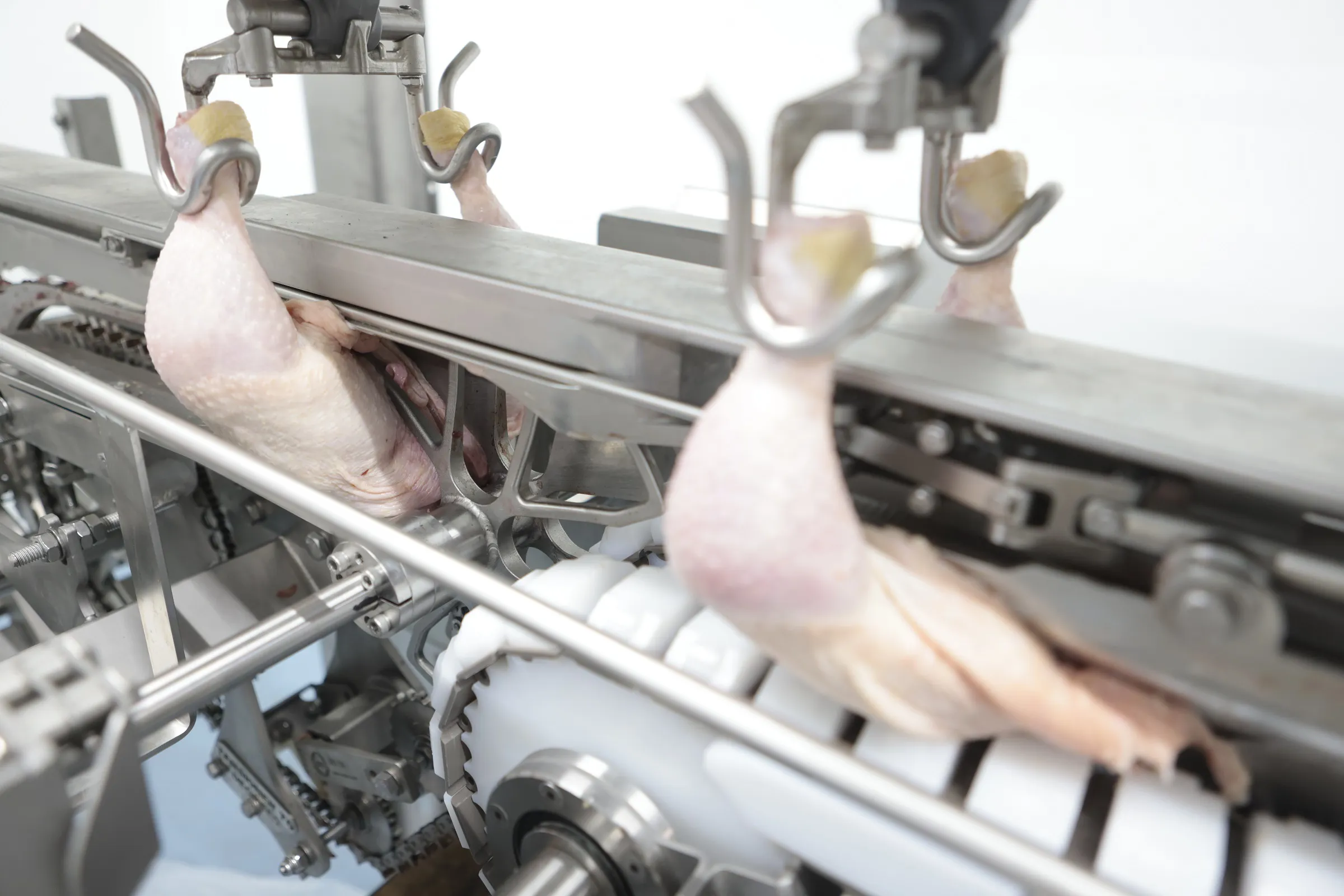 ALPINE - Reach the top of anatomic leg processing | Marel