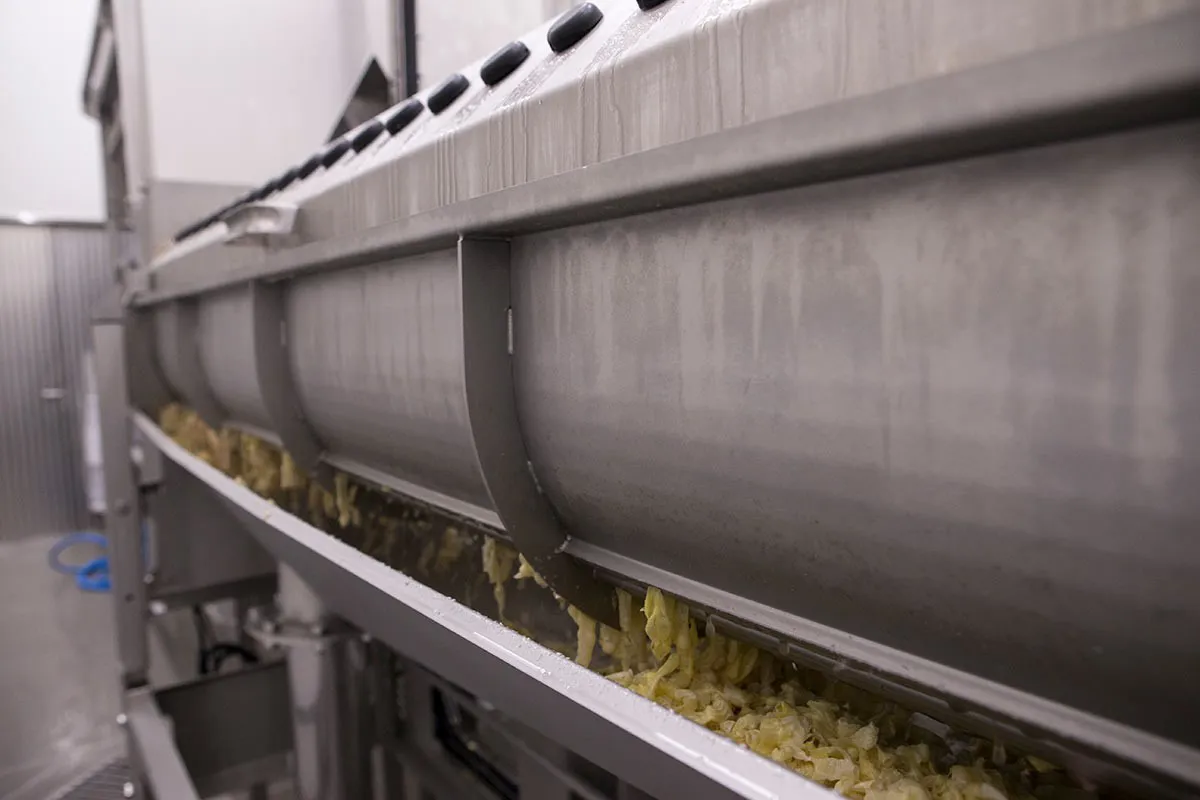 Feet Skinner | Marel