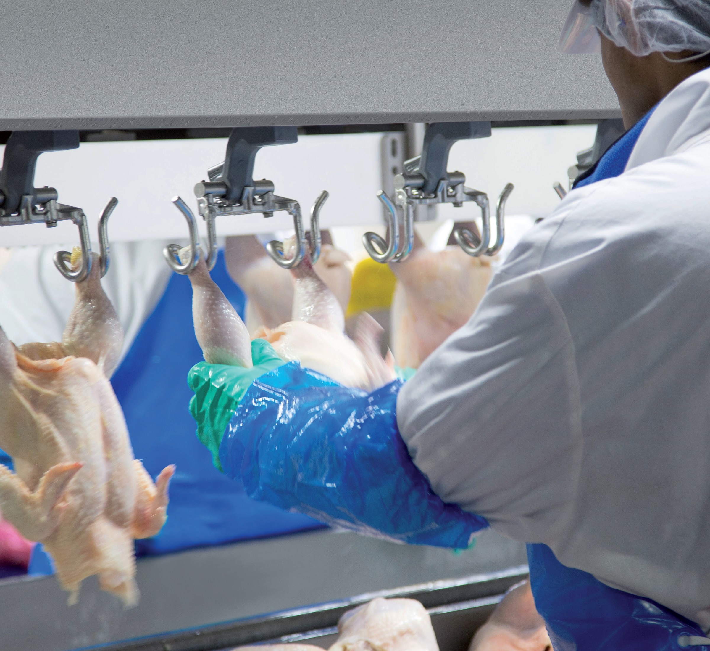 ACM-EH cut-up system | Marel