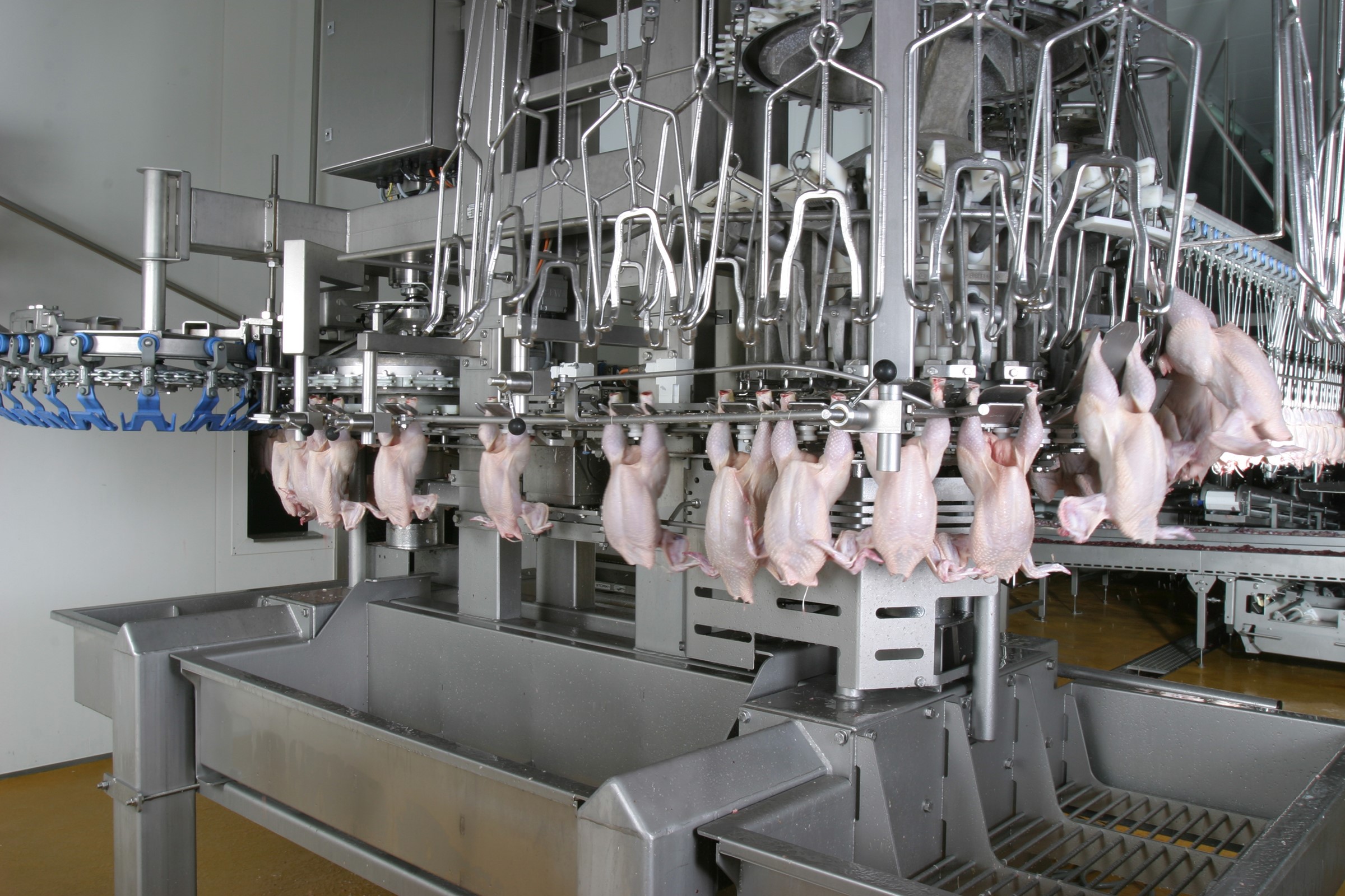 Transfer unit TR-EC and TR-EC GI | Marel