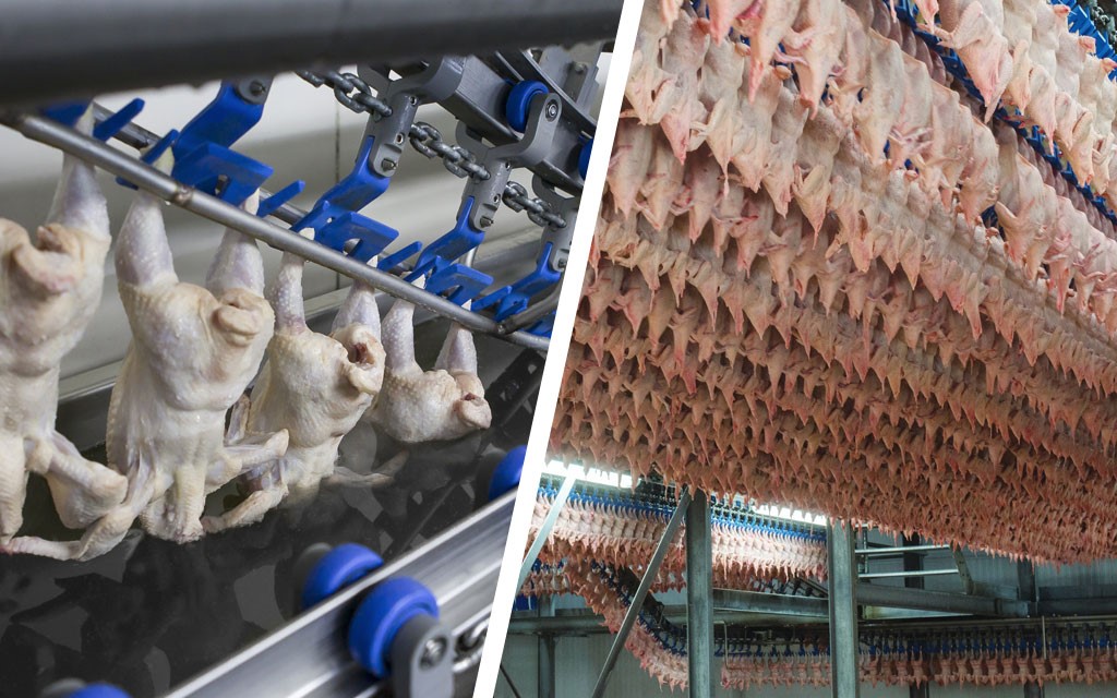 Water chilling or air chilling? | Marel