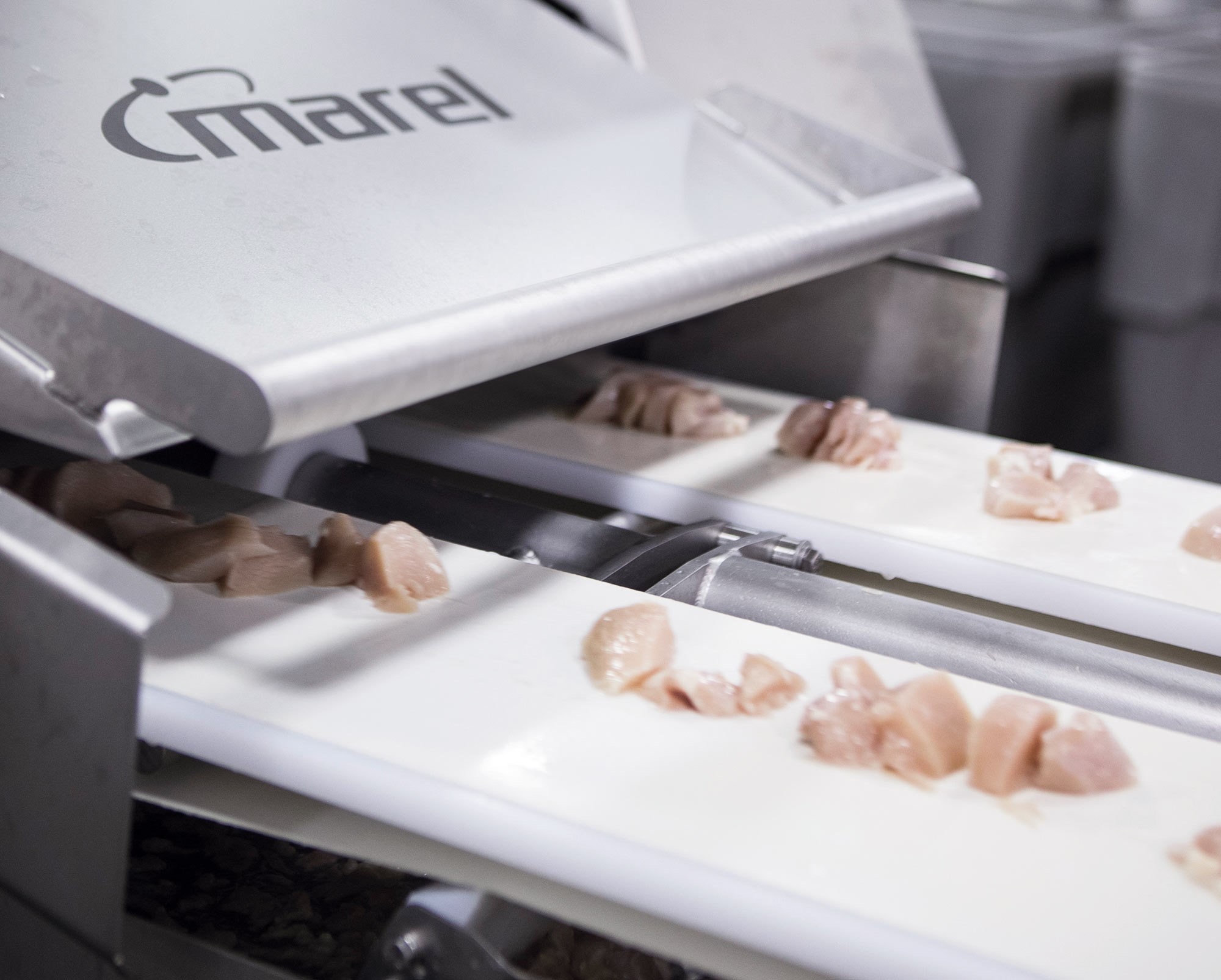 Automated nugget line | Marel