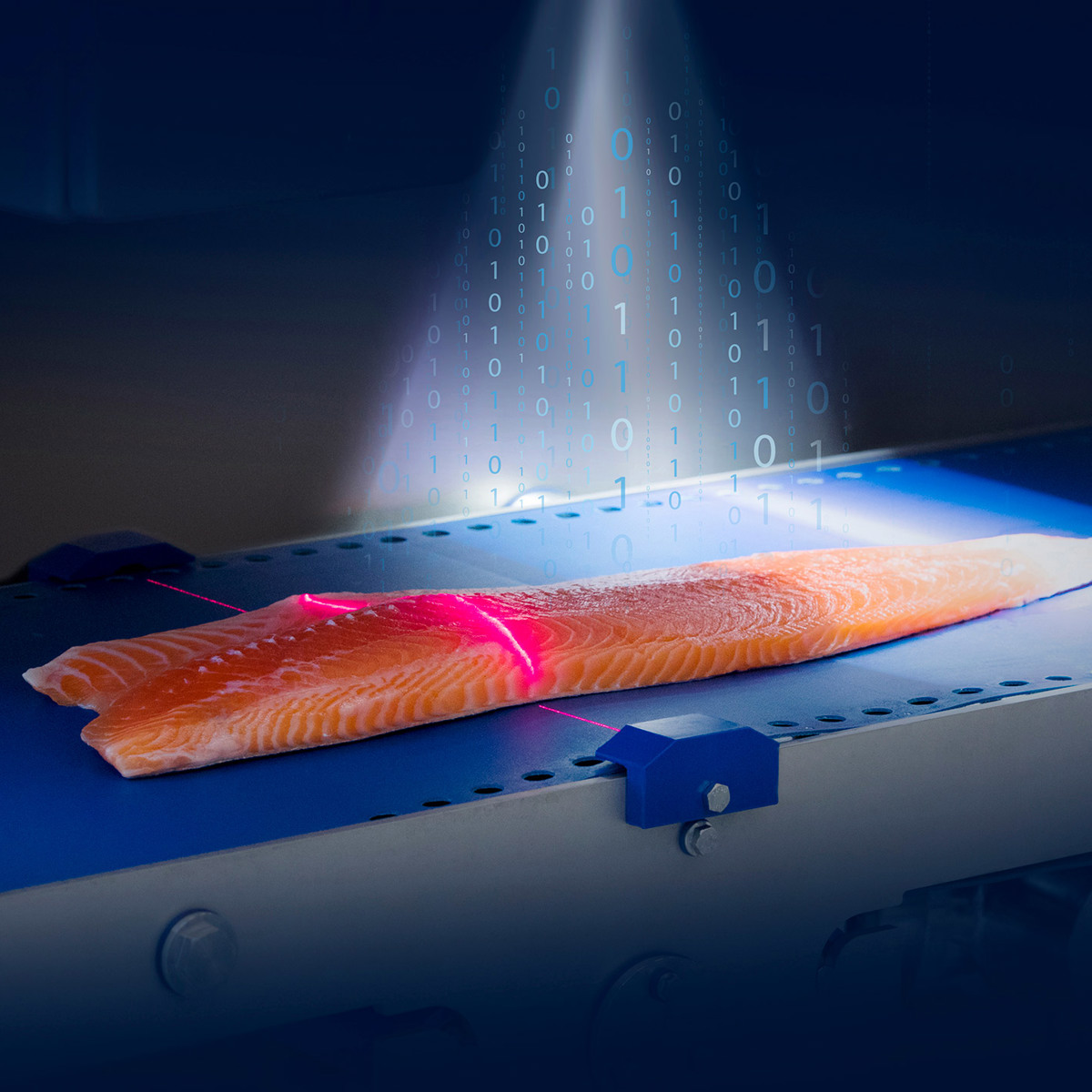 How digital technology ensures fish product traceability | Marel