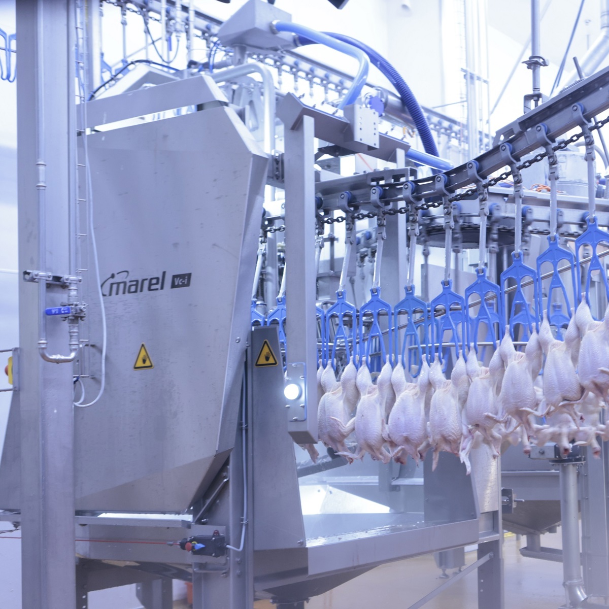 VC-i – первое интеллектуальное устройство отрезания клоаки | Marel