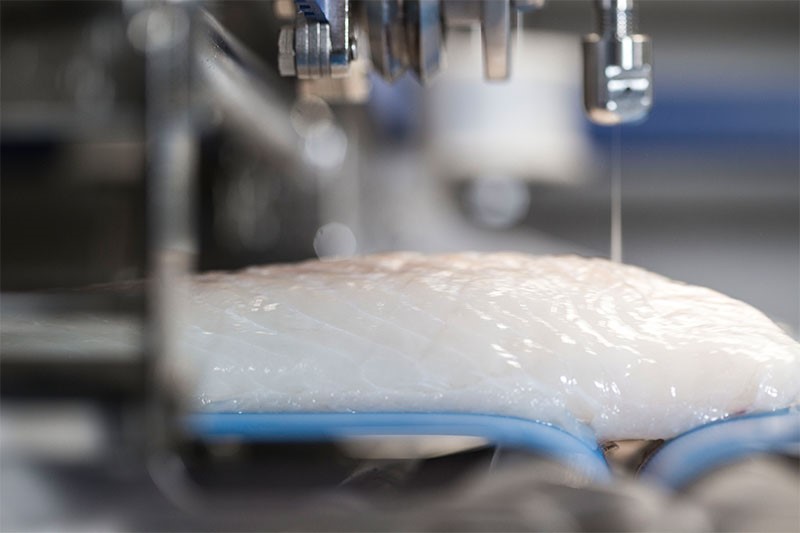 Optimizing the fillet automatically | Marel