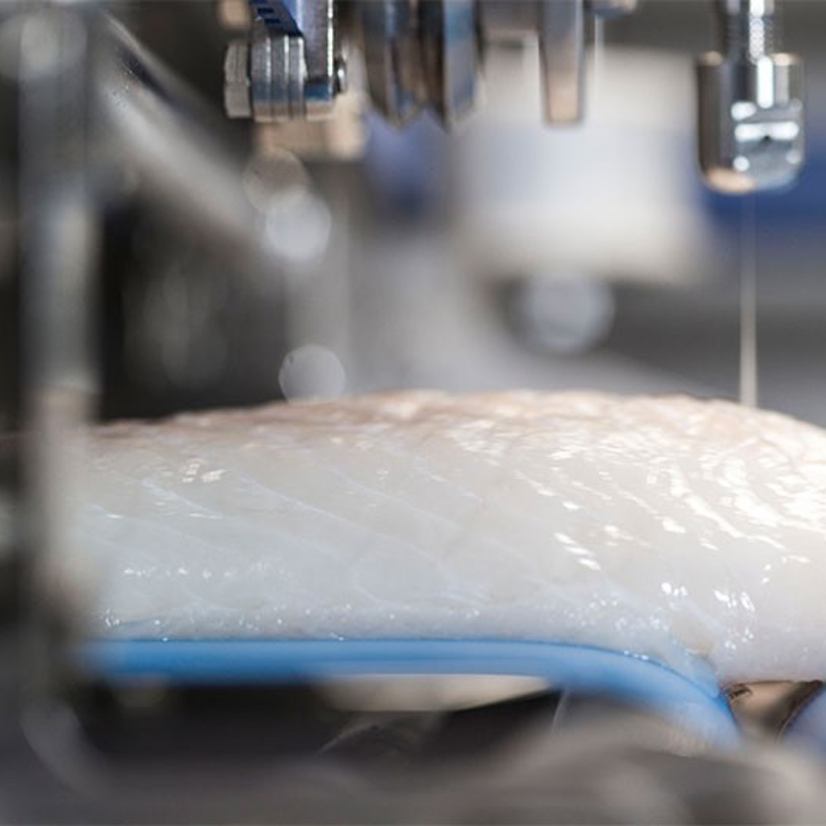 Optimizing the fillet automatically | Marel