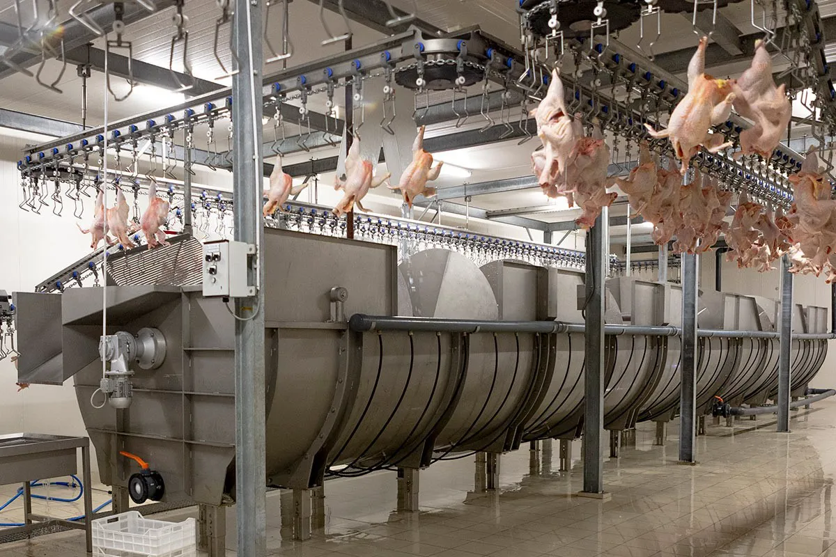 C-III Counterflow Screw Chiller | Marel