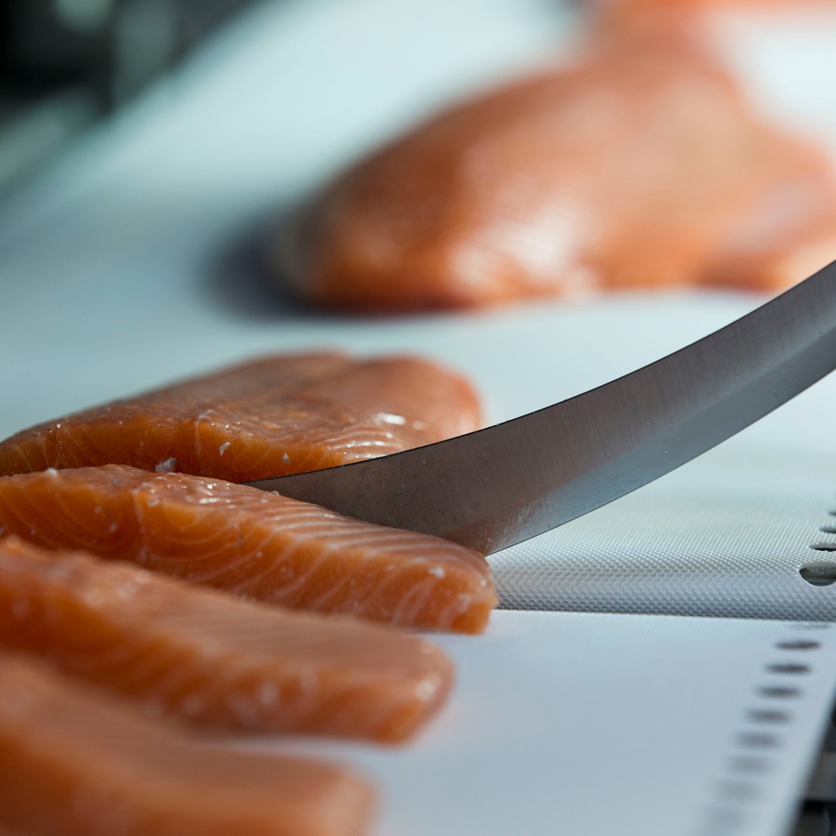 Portion Cutting Systems for Salmon Processing | Marel