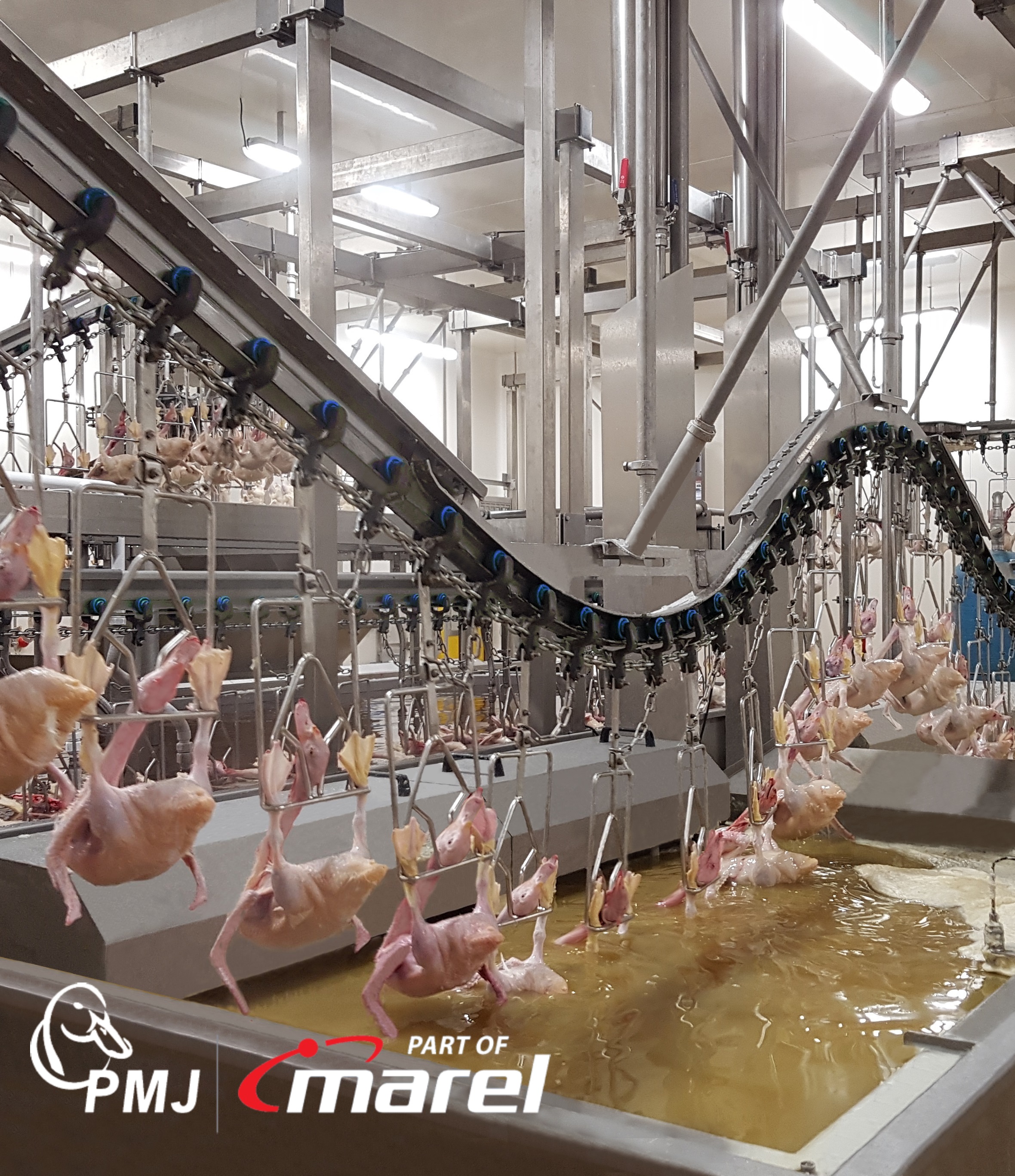 Dedicated duck processing solutions | Marel