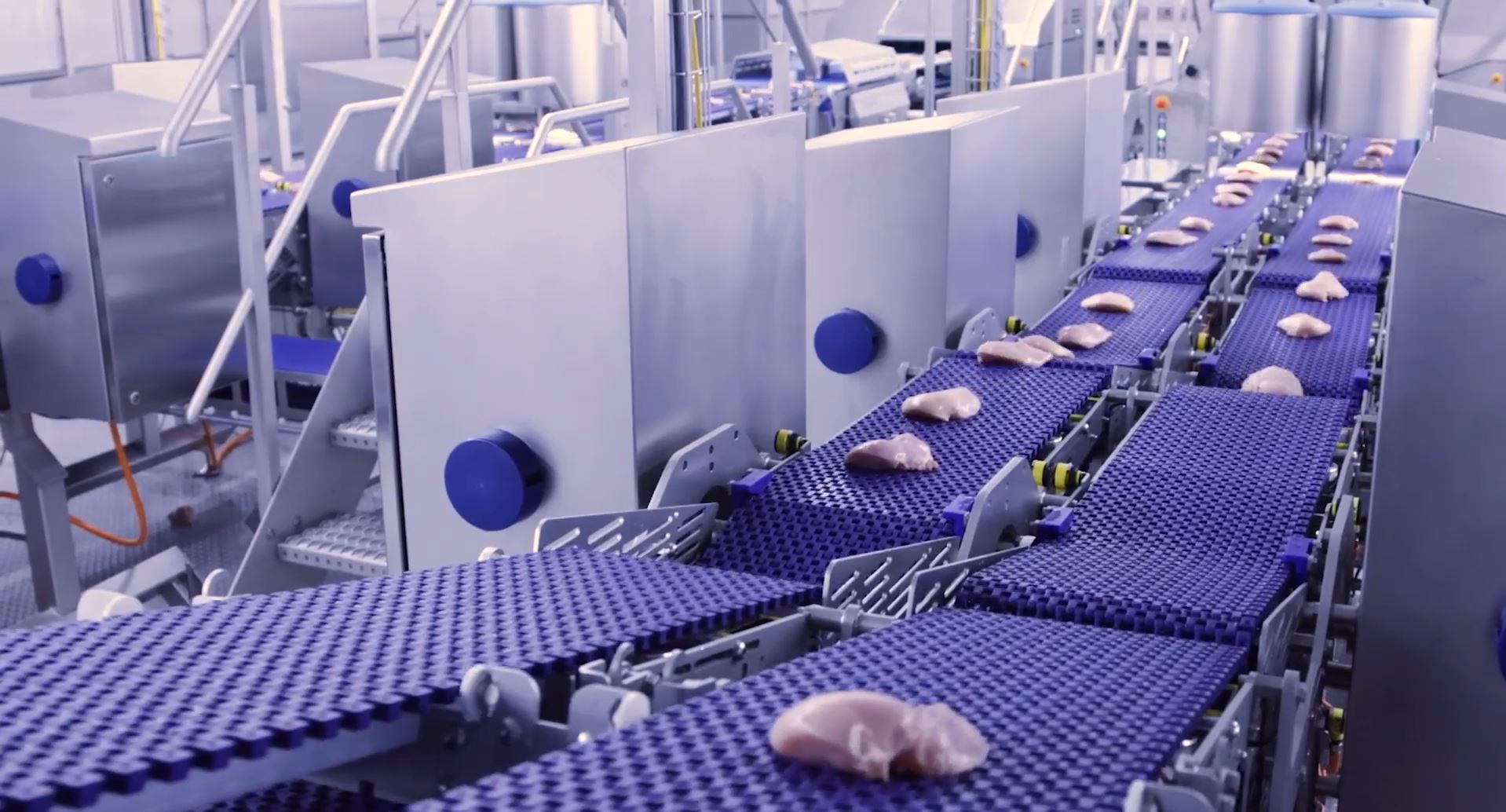 Transfering products to the best destination | Marel