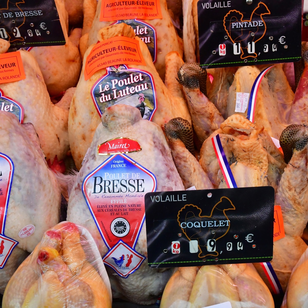 How to process different chicken breeds in one processing plant? | Marel