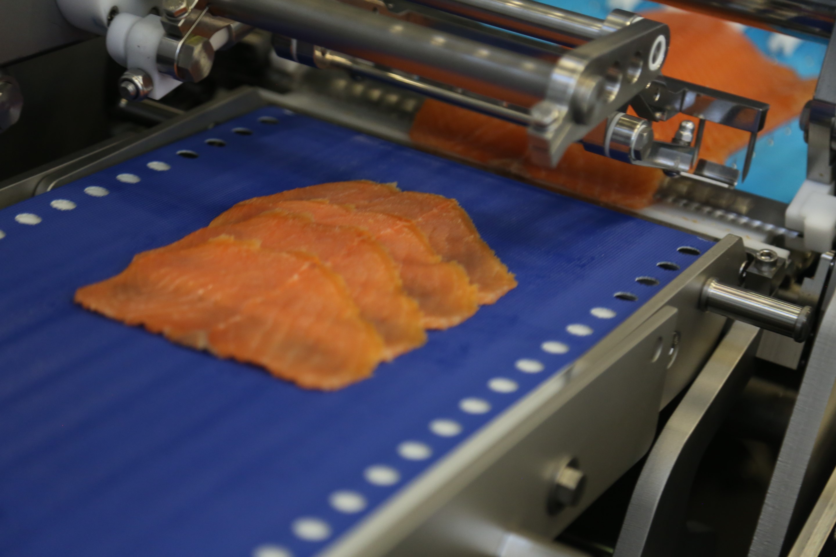 Seafood Processing Barcelona 2023 | Marel