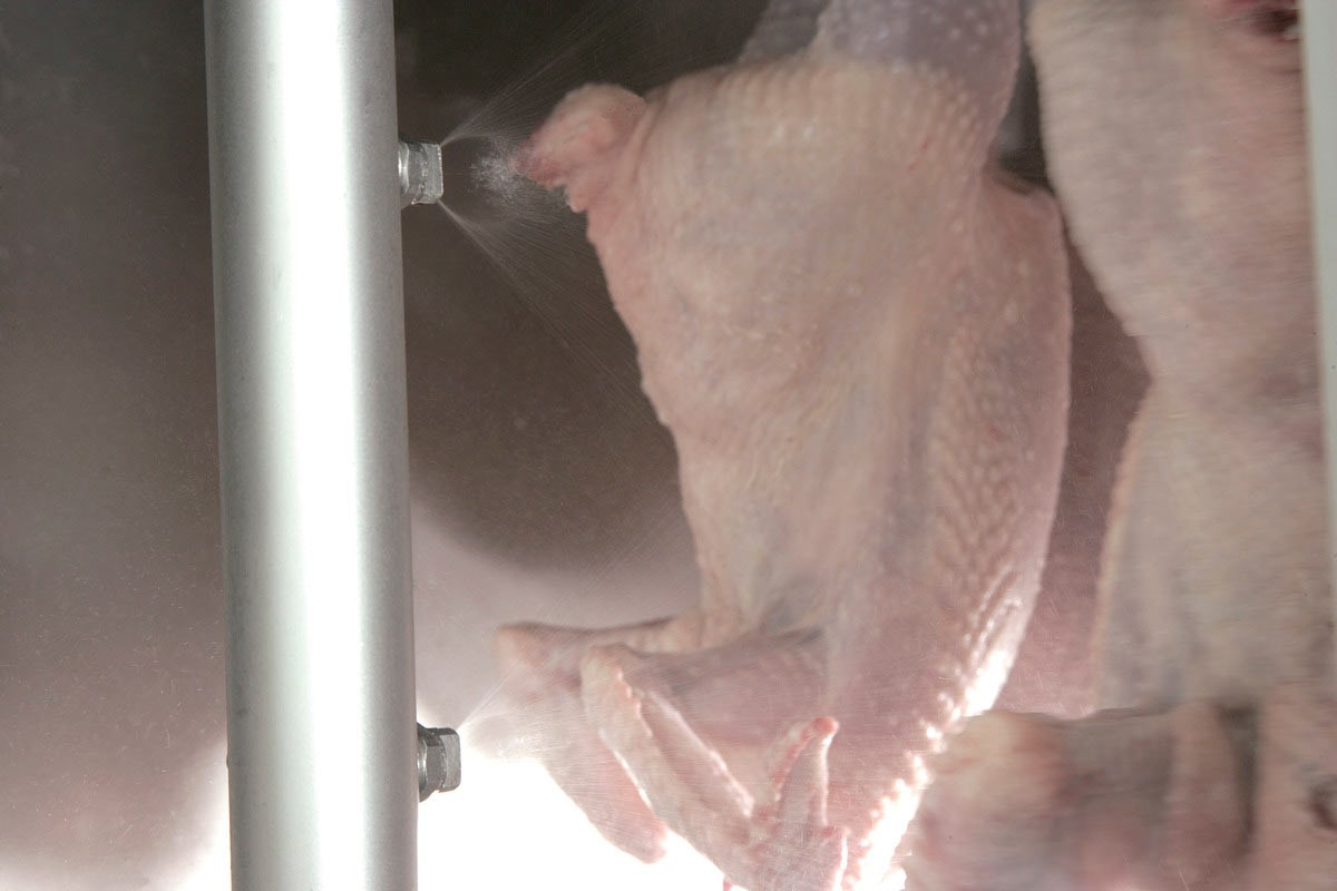 Downflow Plus in-line air chilling | Marel