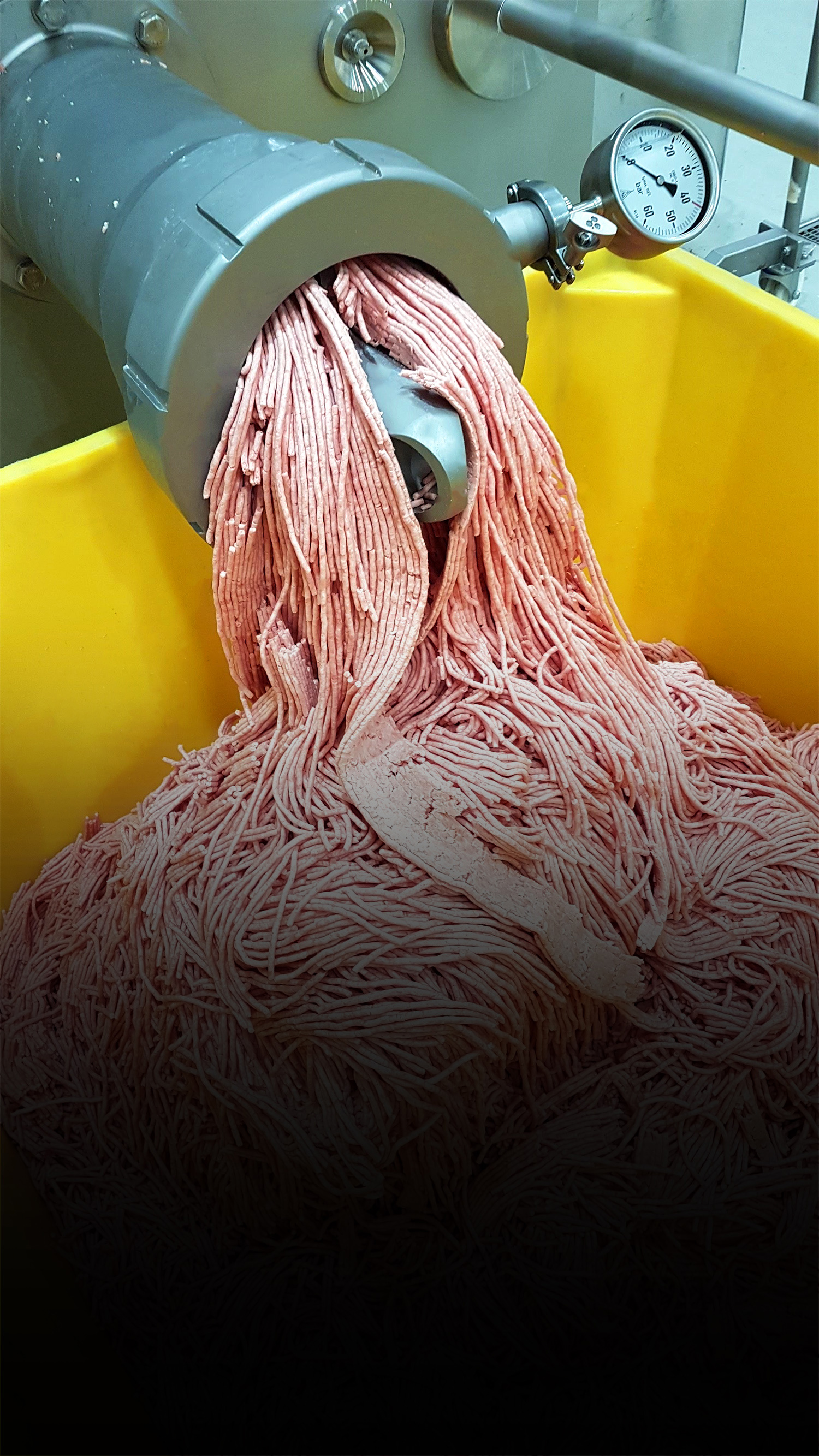 COMBIgrind 200 grinder | Marel