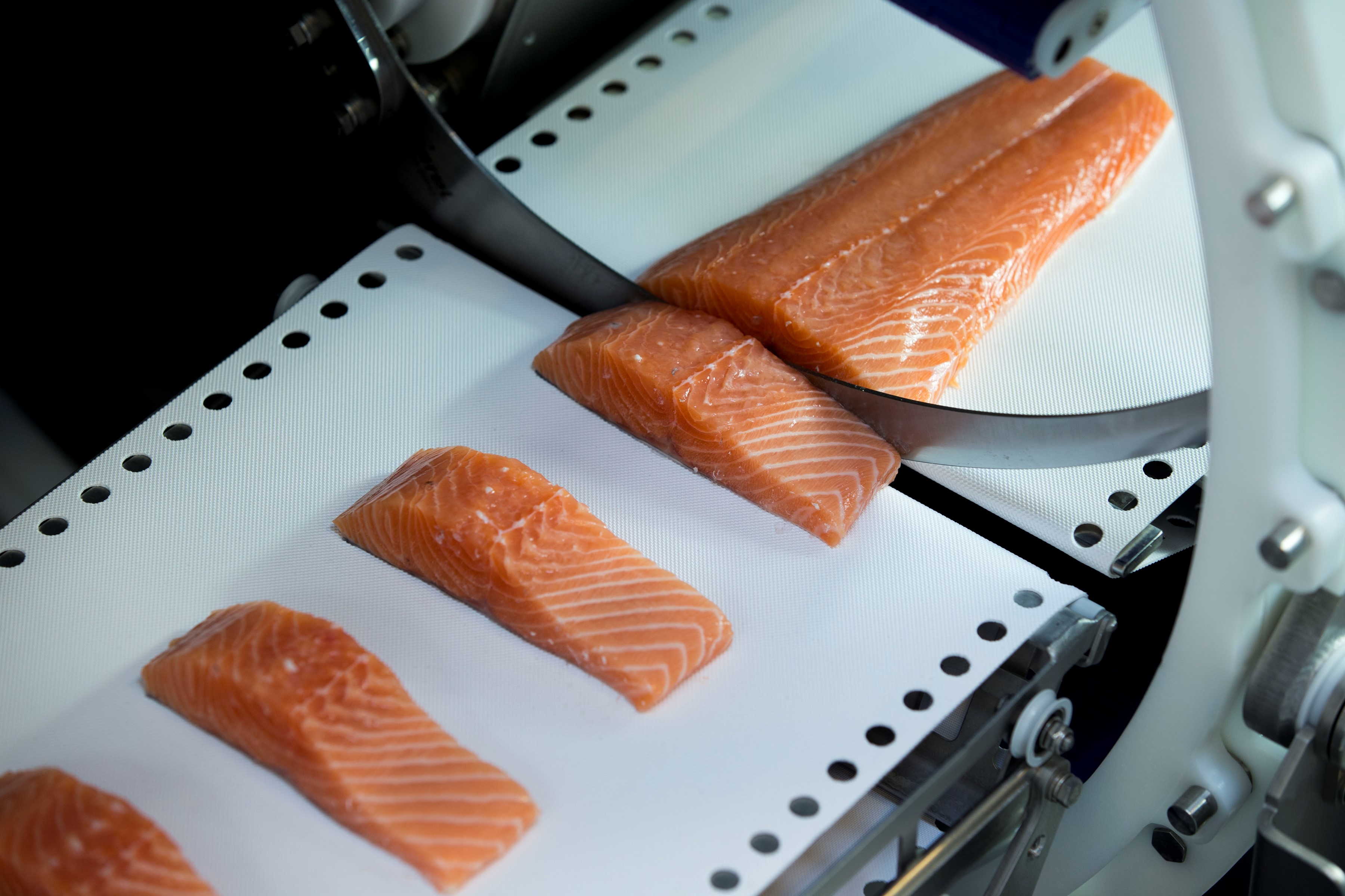 Решения в области порционирования для предприятий по переработке лосося | Marel