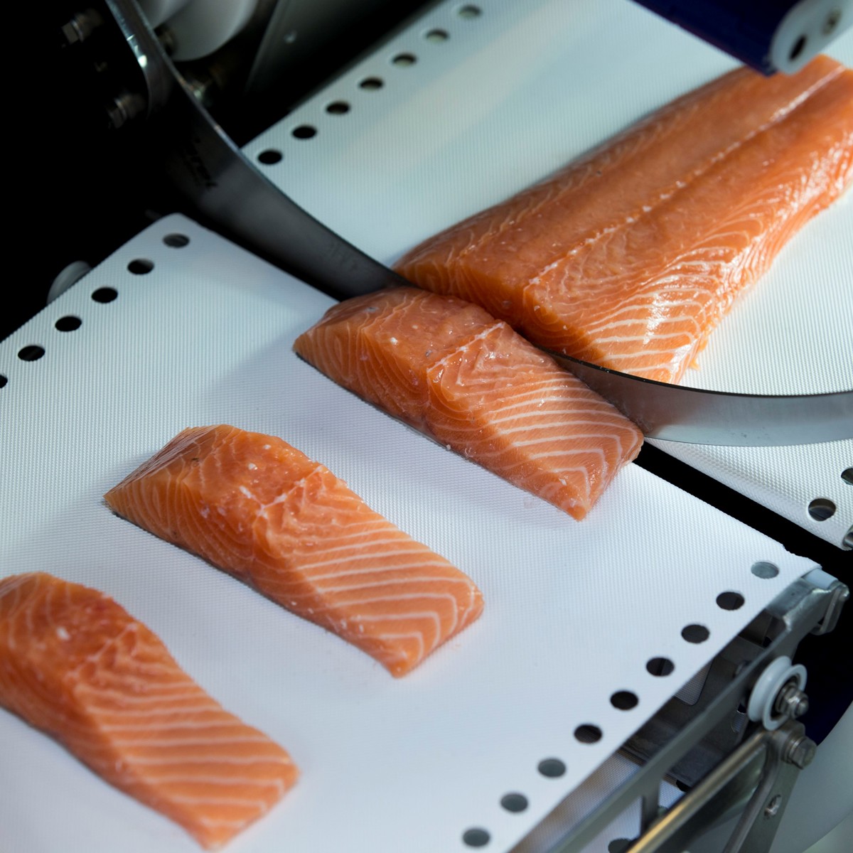 Salmon portion cutting solutions | Marel