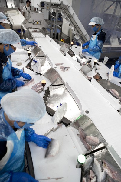 StreamLine Fish | Marel