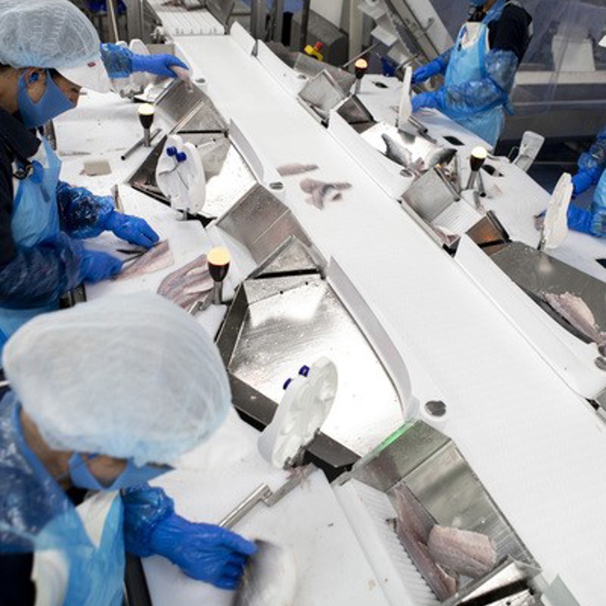 StreamLine Fish | Marel