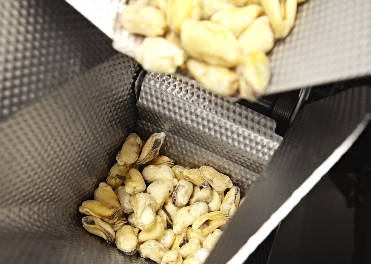 Weighing in seafood processing | Marel