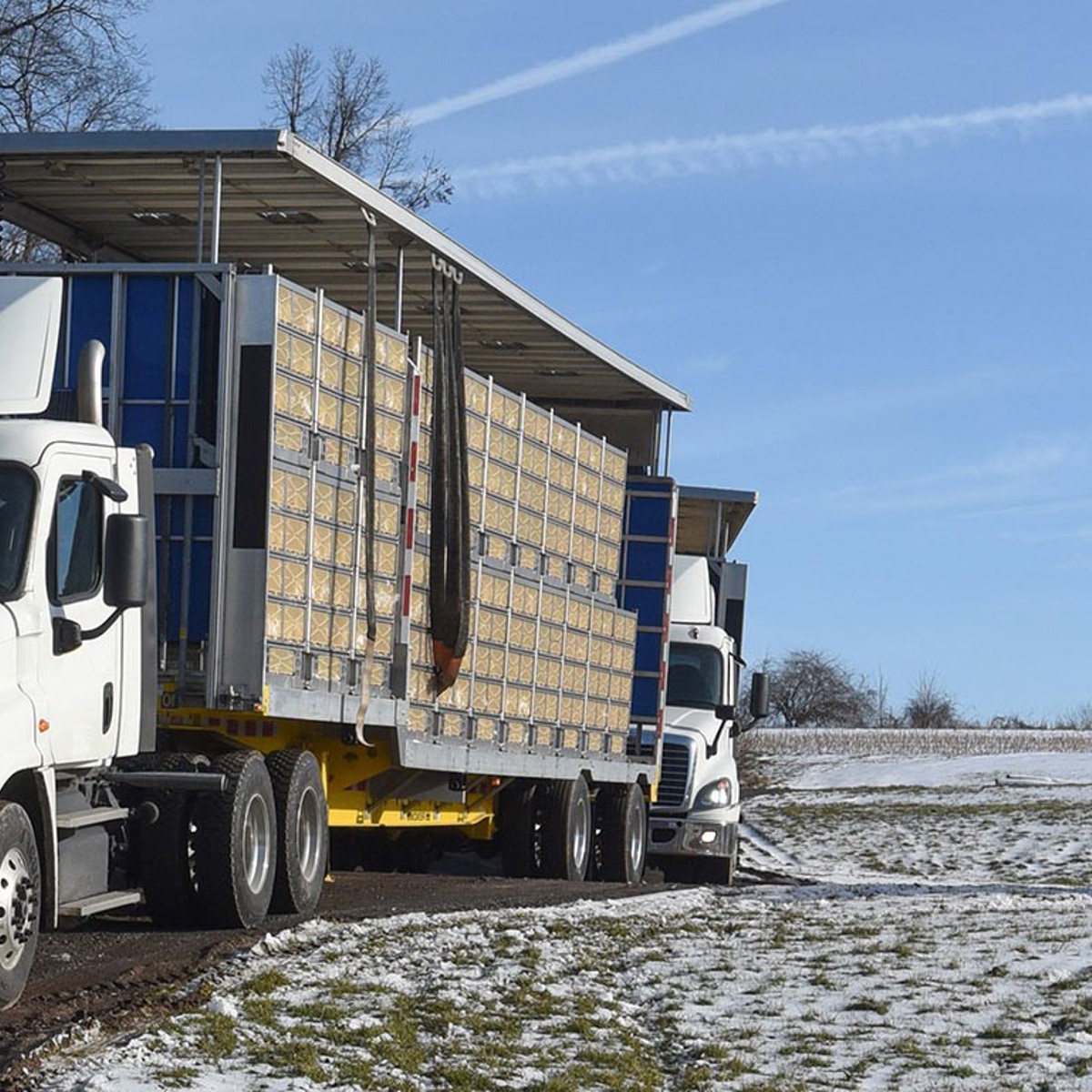 North America embraces ATLAS and CAS SmoothFlow | Marel