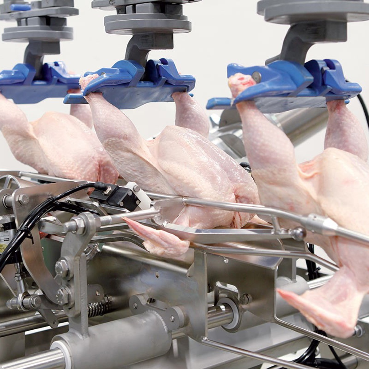 WingTipper HP | Marel