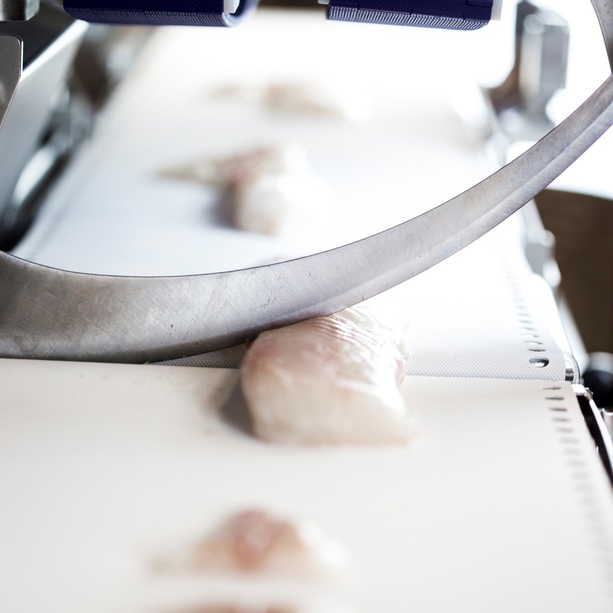Fish portion cutting solutions | Marel