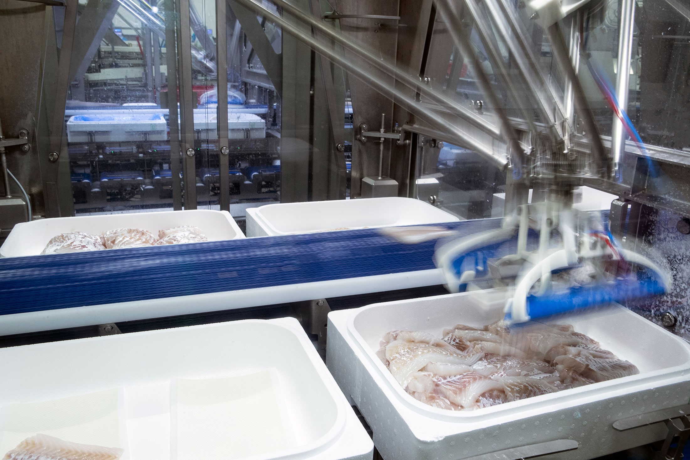 New product launch at Nor-Fishing Digital | Marel