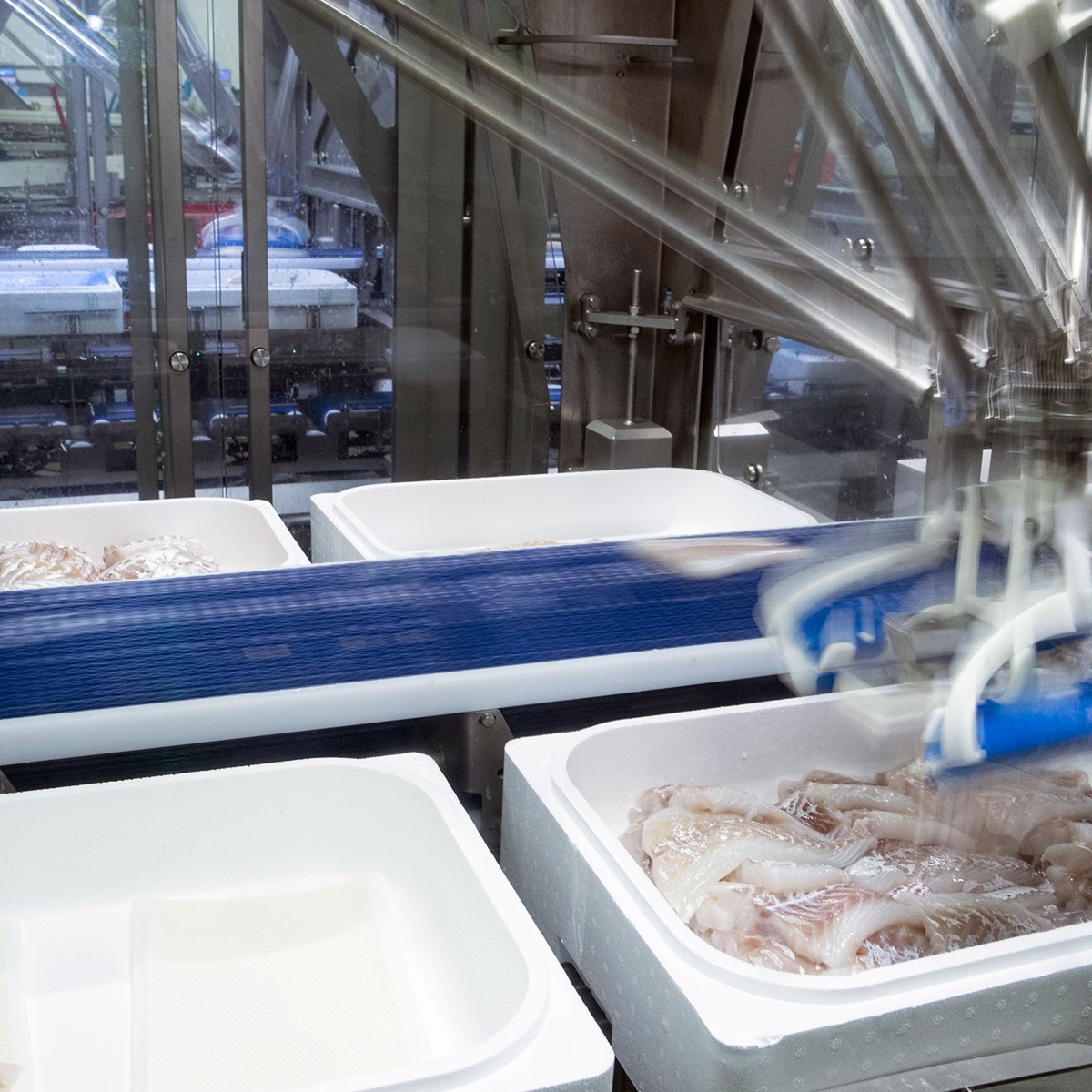 New product launch at Nor-Fishing Digital | Marel