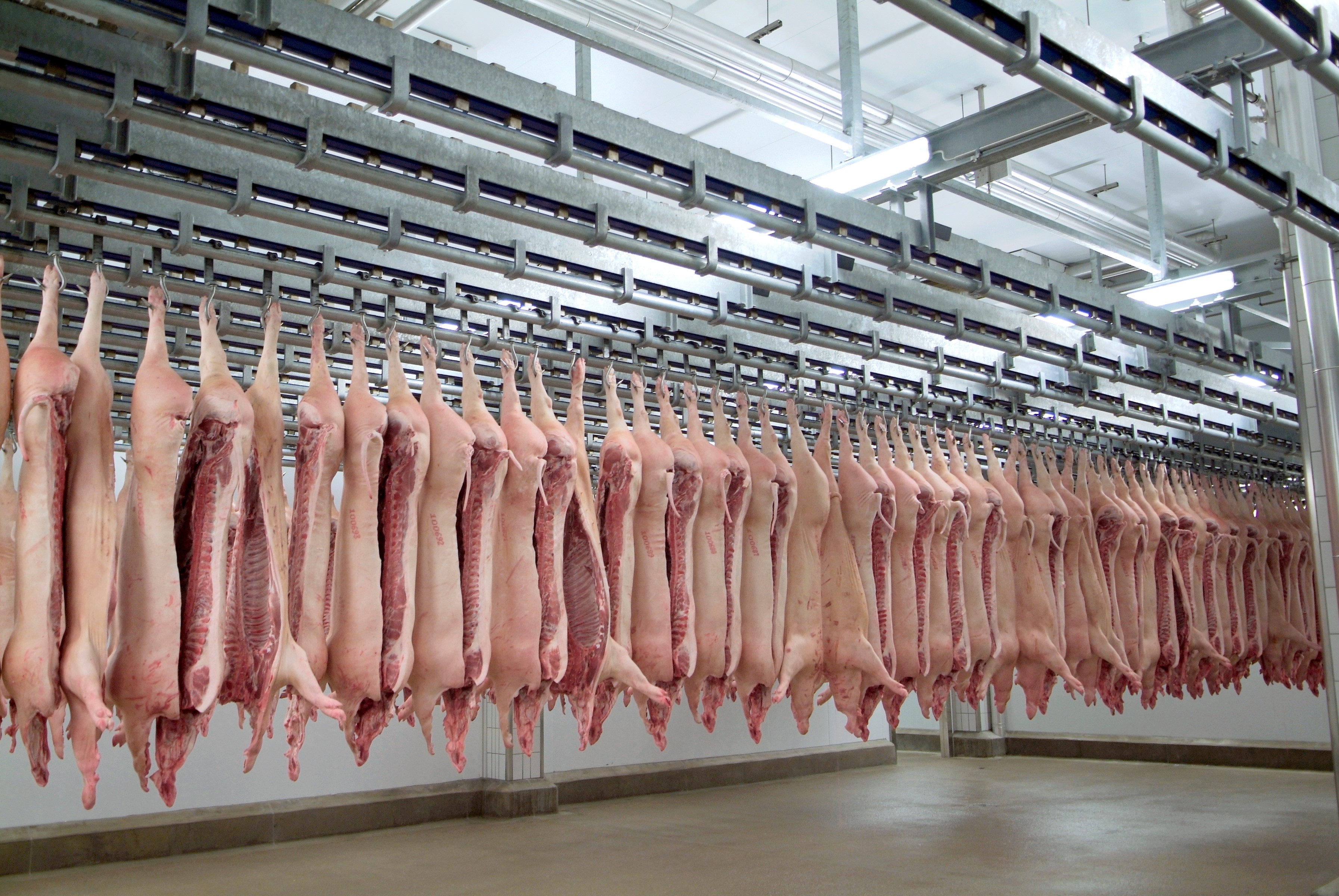 Marel | Food processing solutions