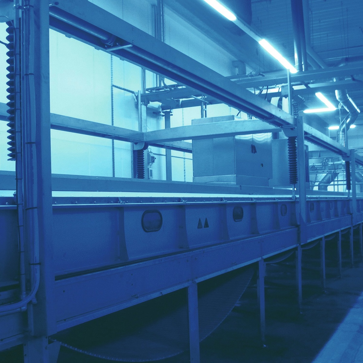 6 questions about controlled atmosphere stunning | Marel