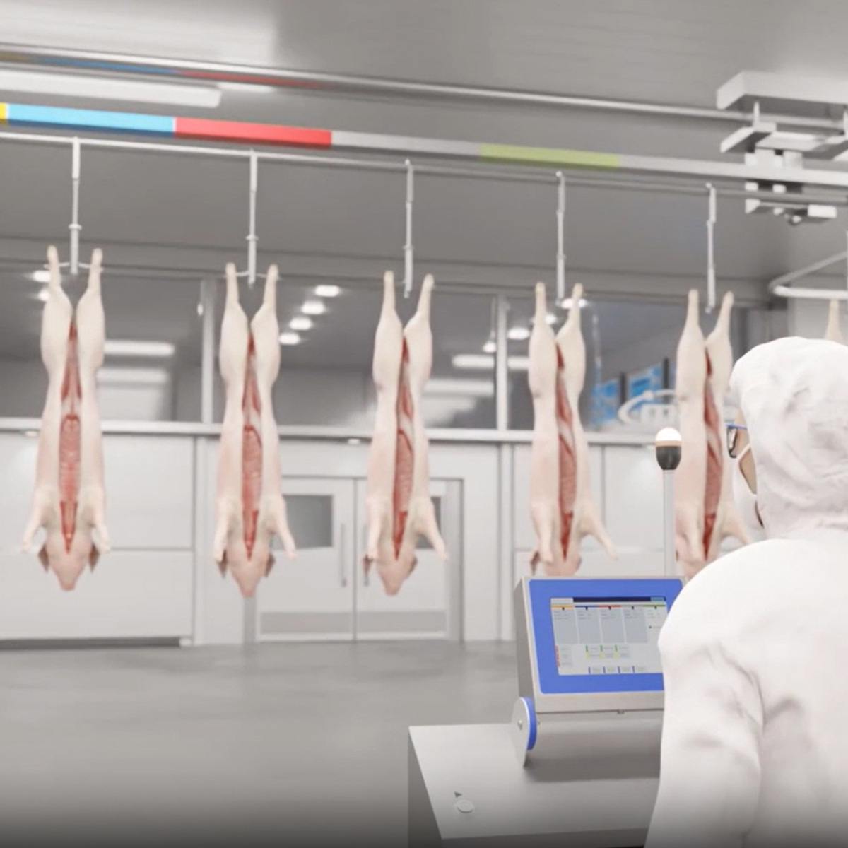 Pork Primary Process Solution | Marel