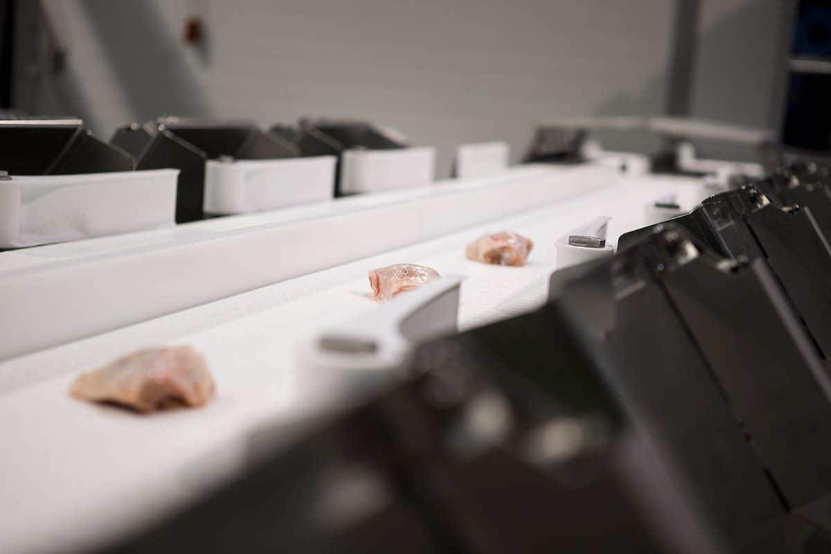 Sovereign Foods expands portfolio | Marel