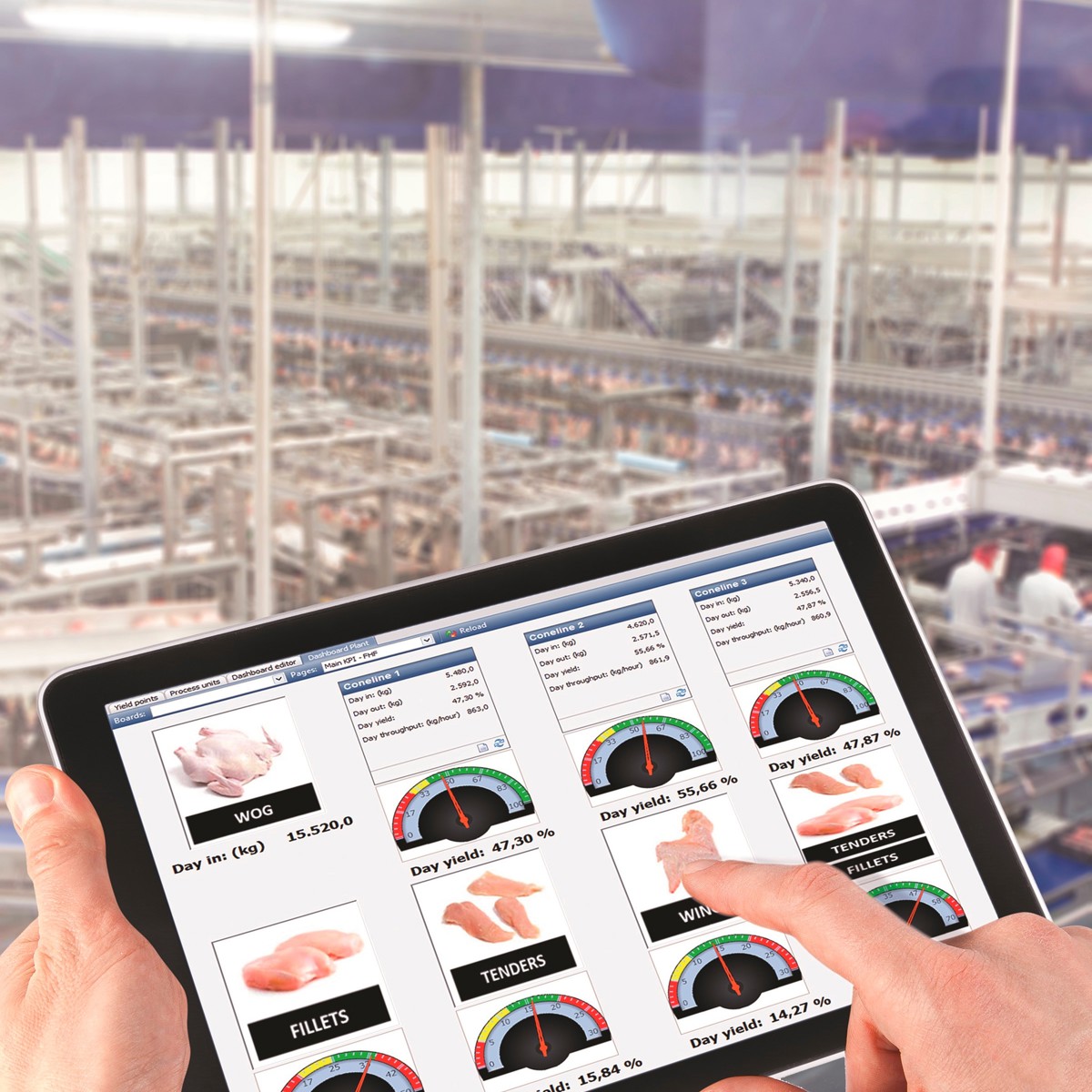 Primary processing | Marel - Intelligent poultry solutions | Marel