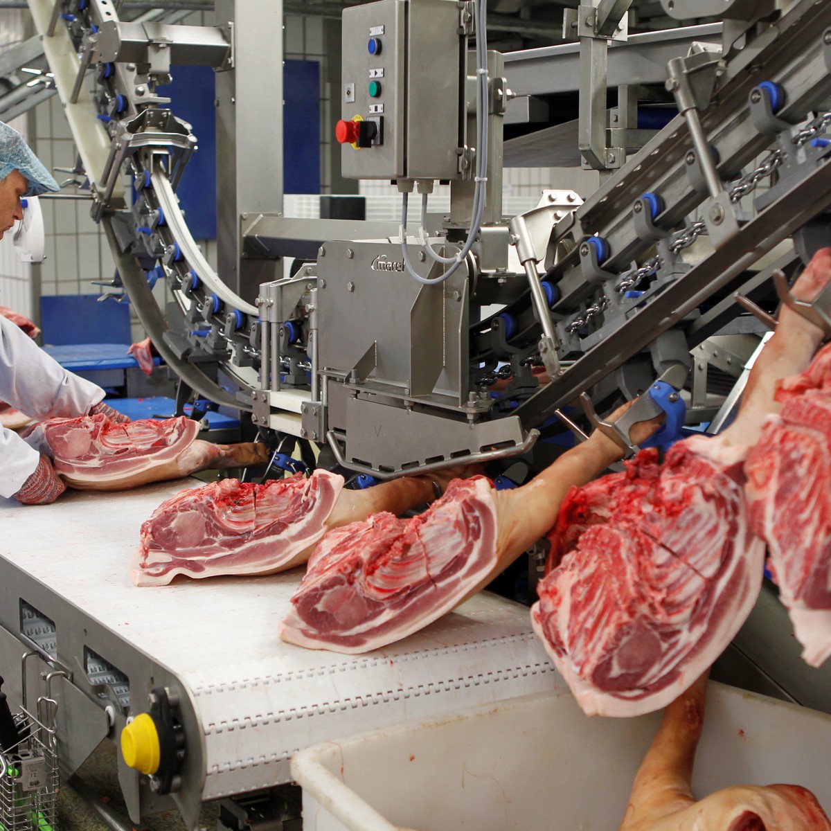 Three-point approach to transform pork processing into a flexible and efficient solution | Marel