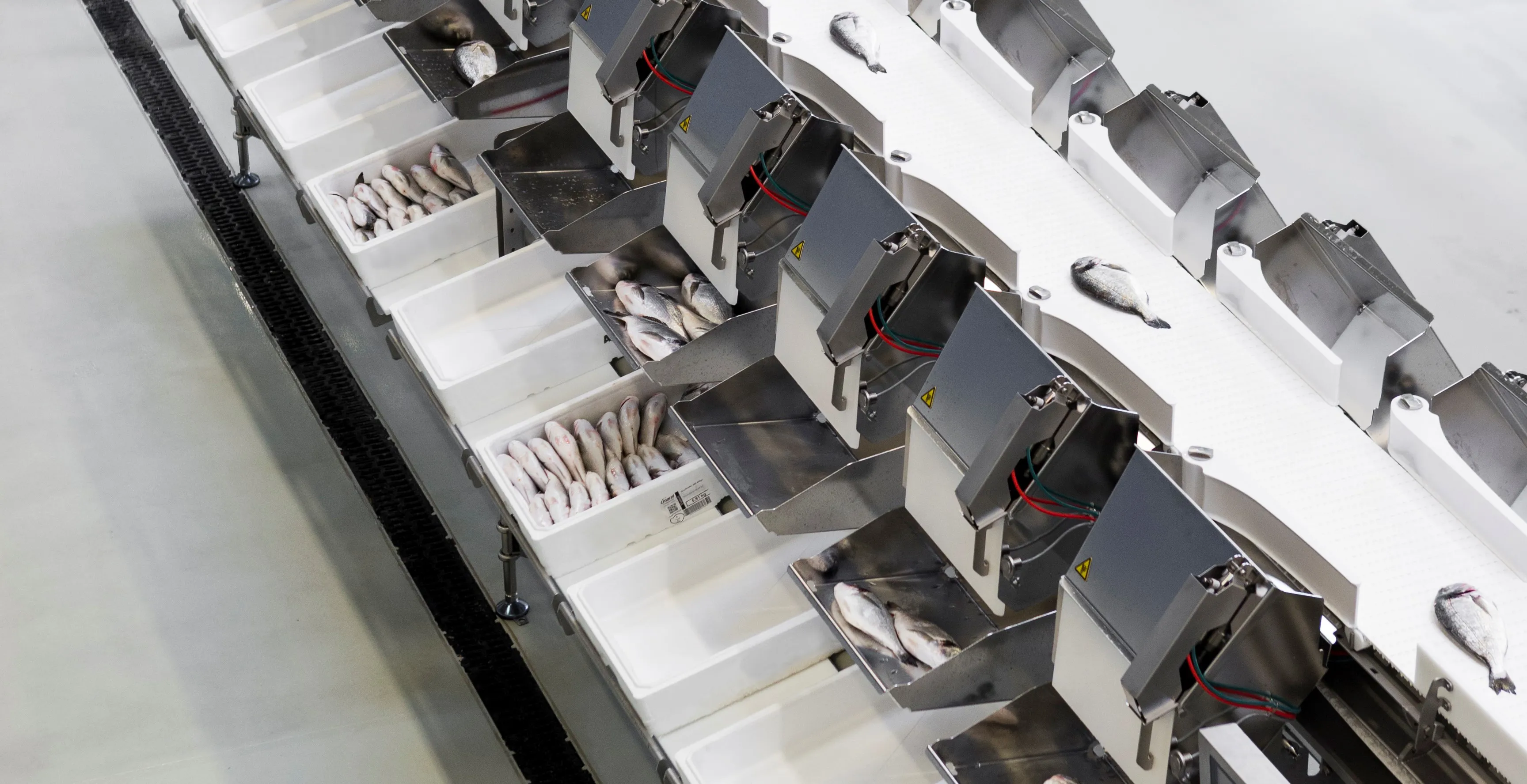 Whole Fish Grader | Marel